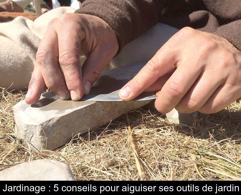 Jardinage : 5 conseils pour aiguiser ses outils de jardin
