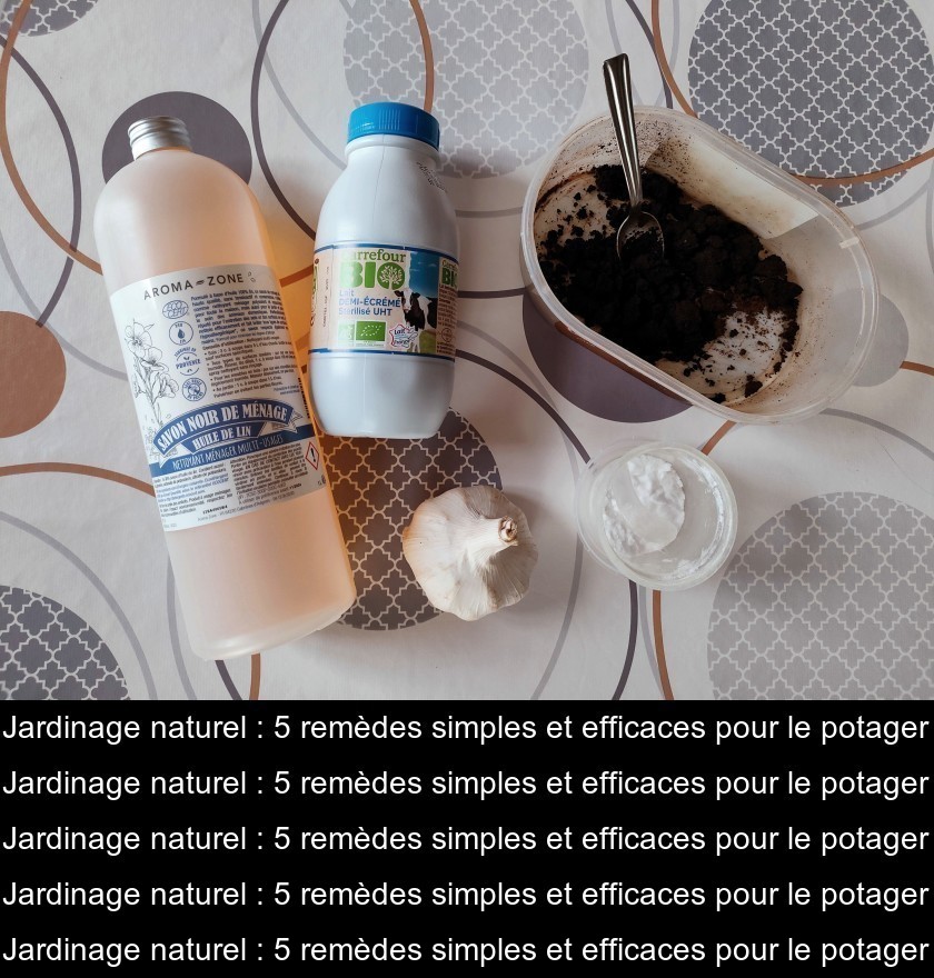 Jardinage naturel : 5 remèdes simples et efficaces pour le potager