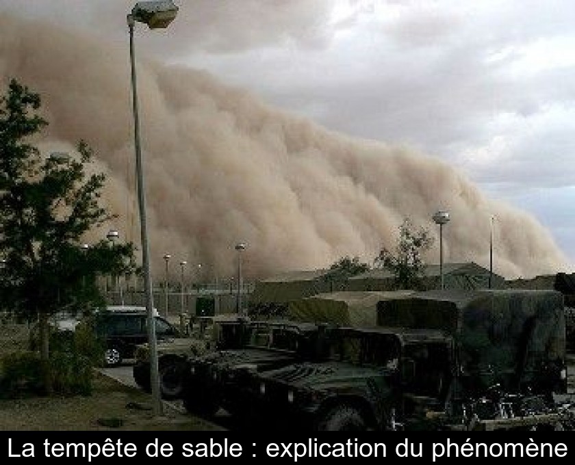 La tempête de sable : explication du phénomène La tempête de sable : explication du phénomène