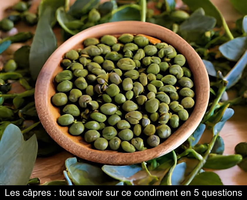Les câpres : tout savoir sur ce condiment en 5 questions