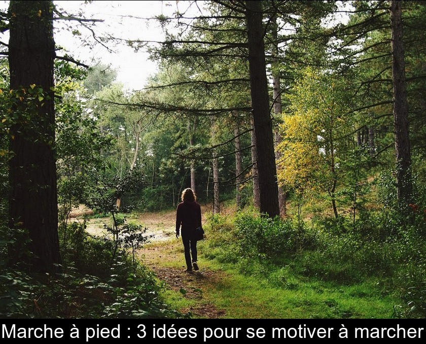Marche à pied : 3 idées pour se motiver à marcher