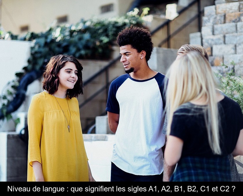 Niveau de langue : que signifient les sigles A1, A2, B1, B2, C1 et C2