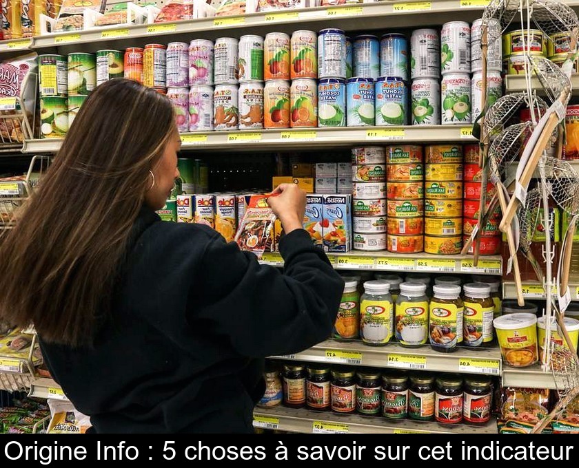 Origine Info : 5 choses à savoir sur cet indicateur