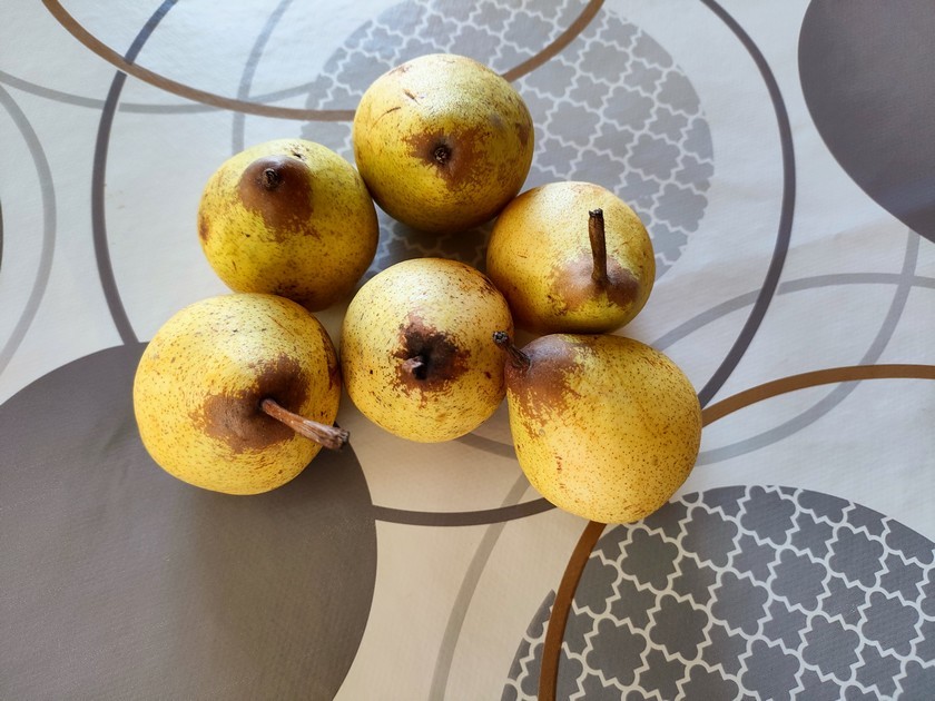 Les poires à la vapeur sauce miel citron : une recette légère