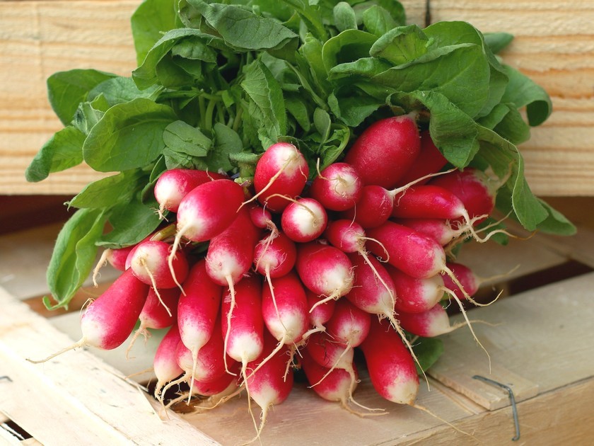 Le velouté de fanes de radis : une recette facile