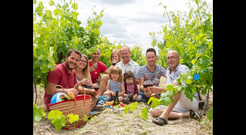Pique-nique Chez Le Vigneron Indépendant : Domaine De La Chopinière Du ...