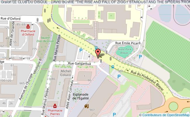 Le Club Du Disque : David Bowie "the Rise And Fall Of Ziggy Stardust ...