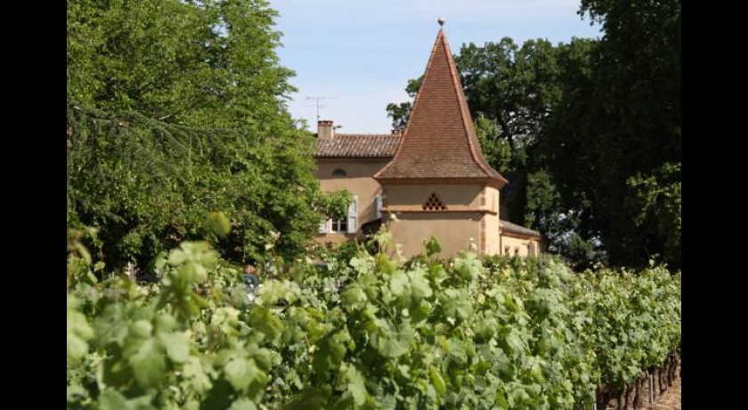 Hotel Domaine De Touny Les Roses Lagrave