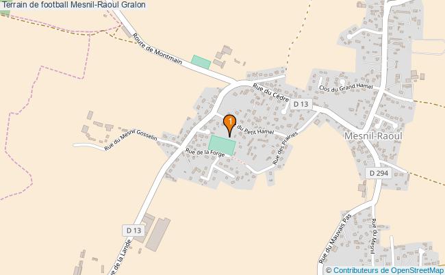 Terrain de football Mesnil-Raoul : 1 équipements