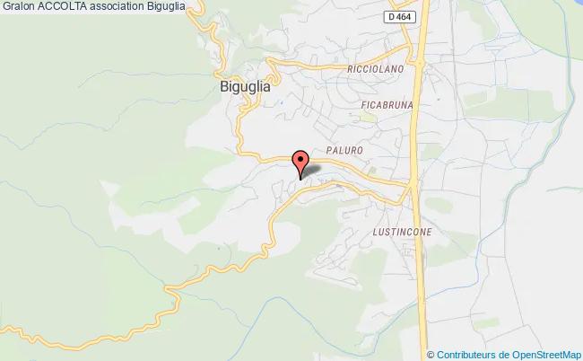 Accolta association Culture, pratiques d'activités artistiques ...