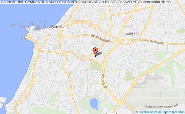 Aerial gymnastics and circus arts association by stacy savelyeva ...