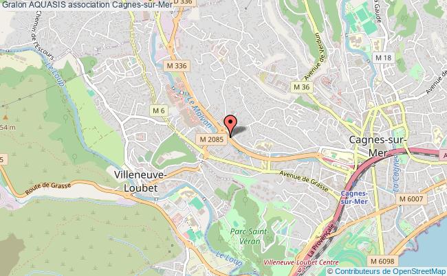 Aquasis association Natation natation synchronisée Cagnes-sur-Mer