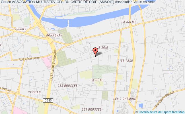 Association multiservices du carre de soie (amsoie) association ...