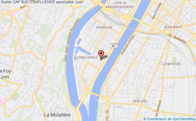 Cap sud confluence association Cap sud actions animation entraide Lyon