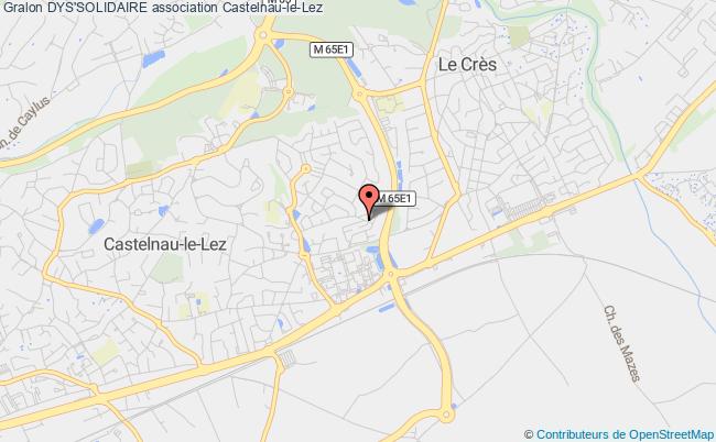 Dys'solidaire association Dys handicap interactif Castelnau-le-Lez