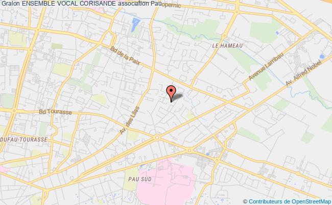 Ensemble vocal corisande association Chant choral volonté Pau