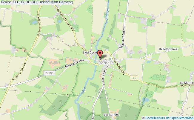 Fleur de rue association Fins le village ornementales village Bernesq