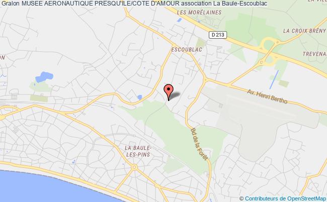 Musee aeronautique presqu'ile/cote d'amour association Association obligations aéronautique ...