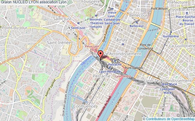 Nucleo lyon association Lyonnais olympique lyonnais stade de gerland Lyon