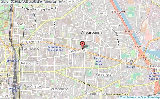 Ochumare association Afro-américaines promotion Villeurbanne