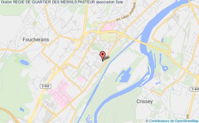 Regie de quartier des mesnils pasteur association Realisation Dole