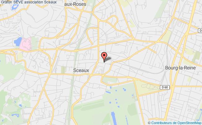Seve association France intérêt général international savoir-être Sceaux