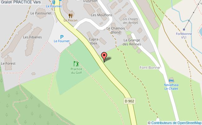 GOLF PRACTICE Practice Vars