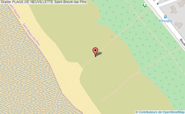 plage Plage de neuvillette Saint-Brevin-les-Pins