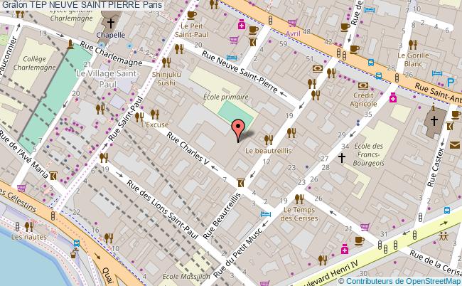 PLATEAU MULTISPORTS Tep neuve saint pierre Paris