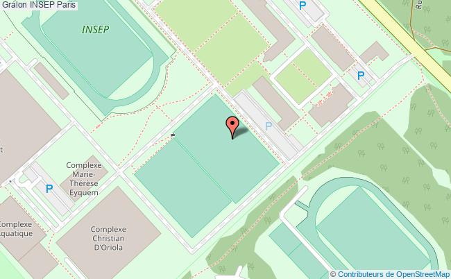 TERRAIN DE FOOTBALL A 11 SYNTHETIQUE Insep Paris