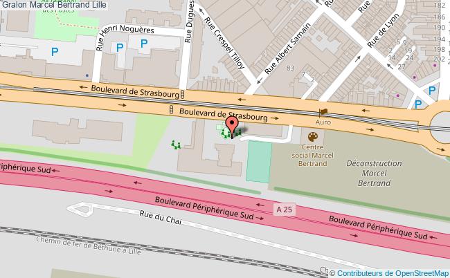 Terrain de football/Basket/Volley Marcel bertrand Lille