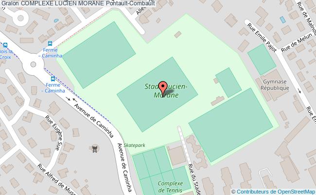 TERRAIN DE FOOTBALL HONNEUR Complexe lucien morane Pontault-Combault