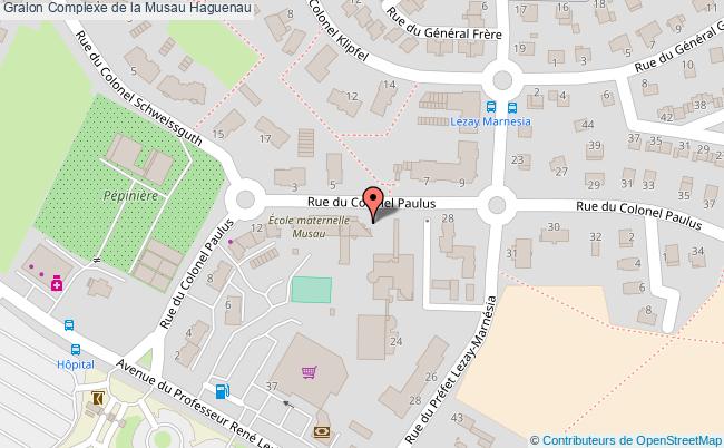 Terrain multisports Complexe de la musau Haguenau