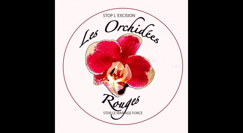 Lutte contre l'Excision et le Mariage Forcé - Les Orchidées Rouges ...