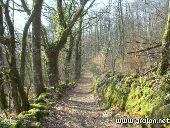 Photo rando VTT , chemin creux Photos Campagne Saint-sulpice-laurière