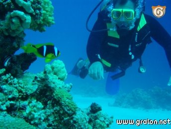 Photo Plongée en Mer Rouge Photos Sport d'été