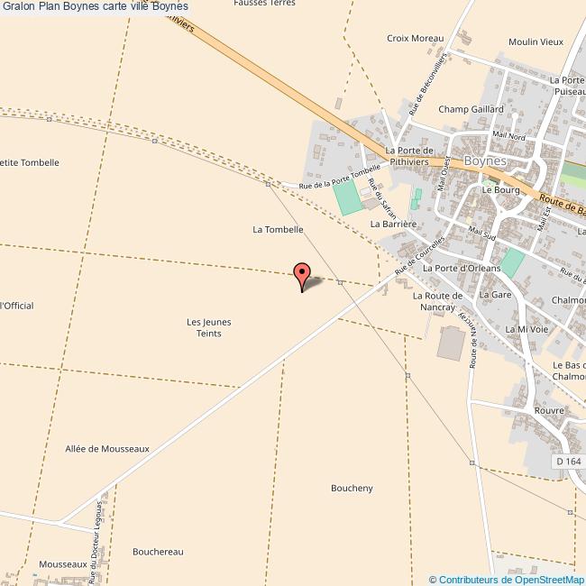 Plan Boynes carte ville Boynes