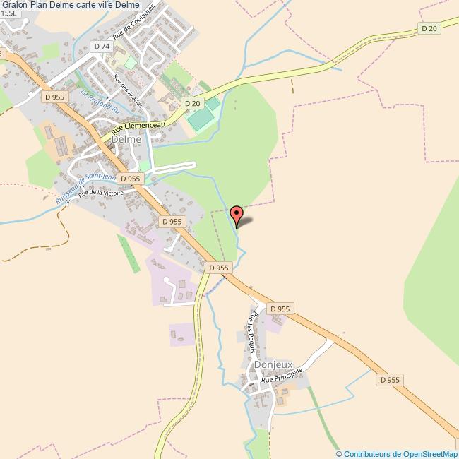 Plan Delme carte ville Delme