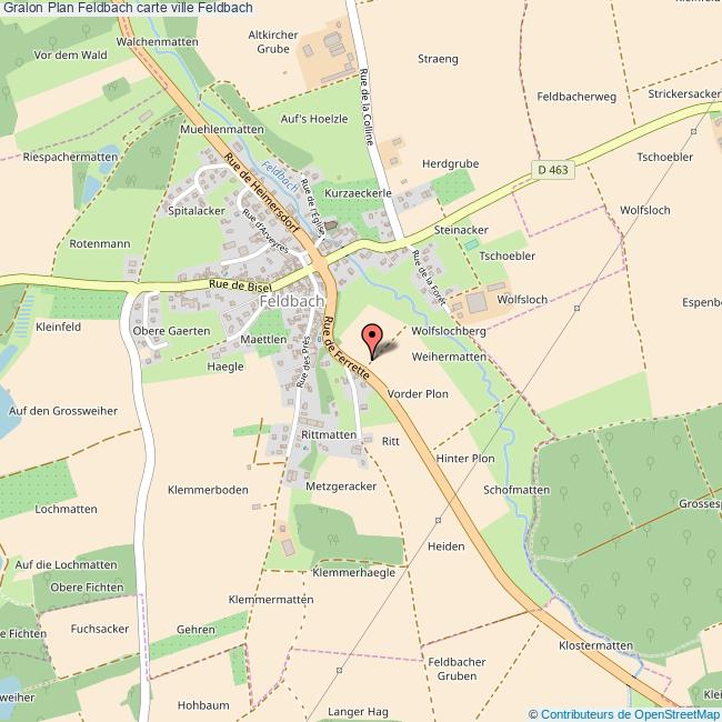 Plan Feldbach carte ville Feldbach
