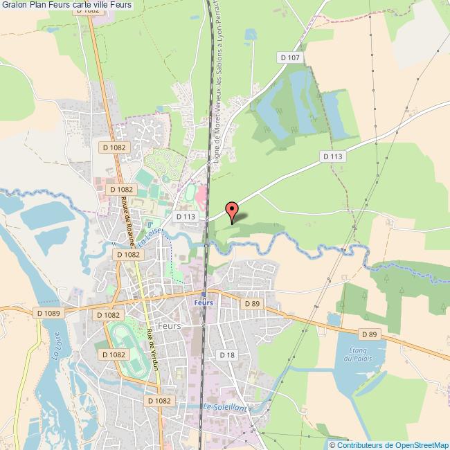 Plan Feurs carte ville Feurs