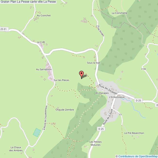 Plan La Pesse carte ville La Pesse