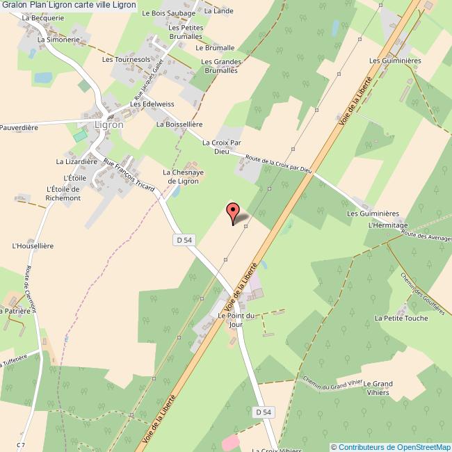 Plan Ligron carte ville Ligron