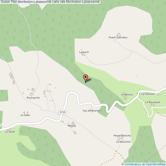 Plan Montredon-Labessonnié carte ville Montredon-Labessonnié