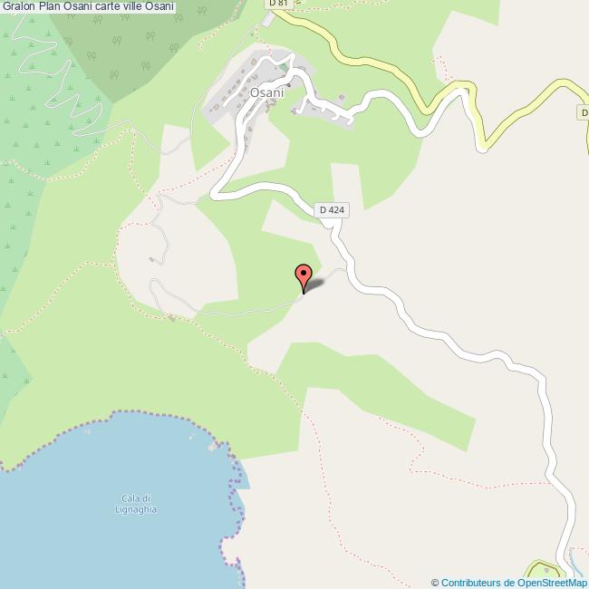 Plan Osani carte ville Osani