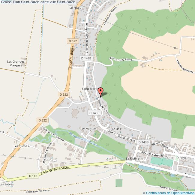 Plan Saint-Savin carte ville Saint-Savin