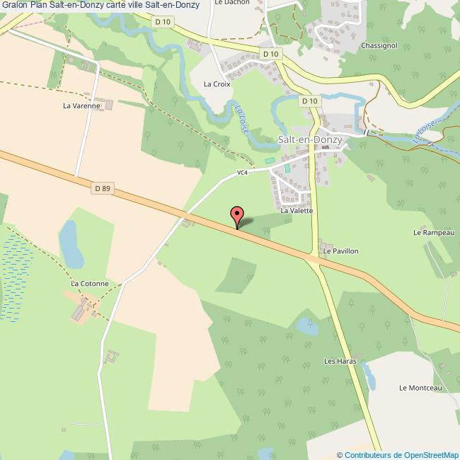 Plan Salt-en-Donzy carte ville Salt-en-Donzy