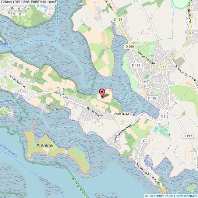 Plan Séné carte ville Séné