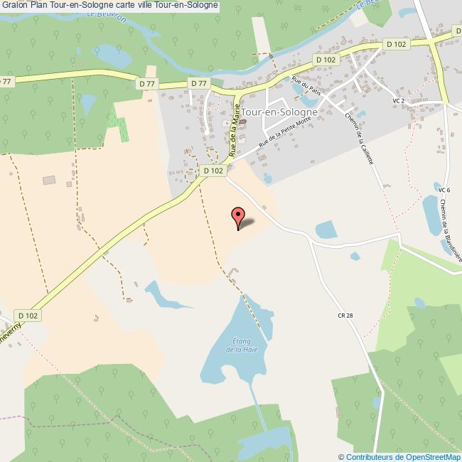 Plan Tour-en-Sologne carte ville Tour-en-Sologne