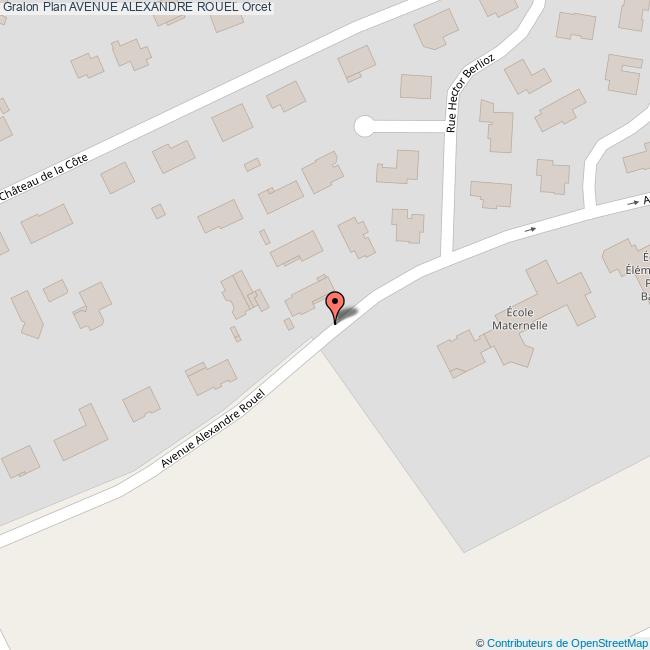 Avenue ALEXANDRE ROUEL Orcet