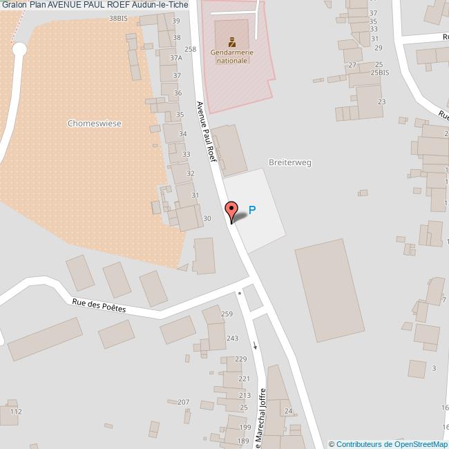 Avenue PAUL ROEF Audun-le-Tiche